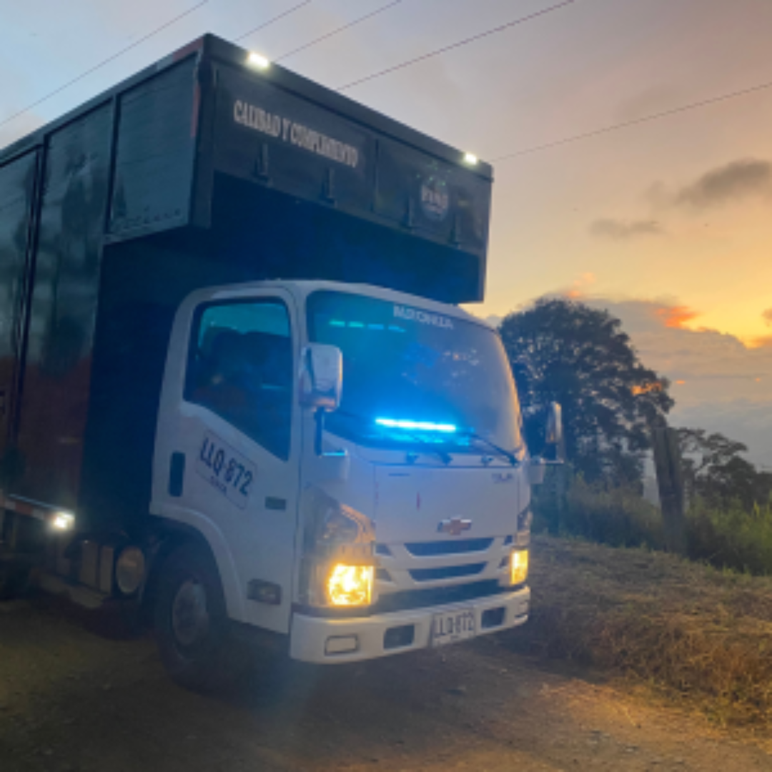 INICIO - KING LOGISTICS S.A.S